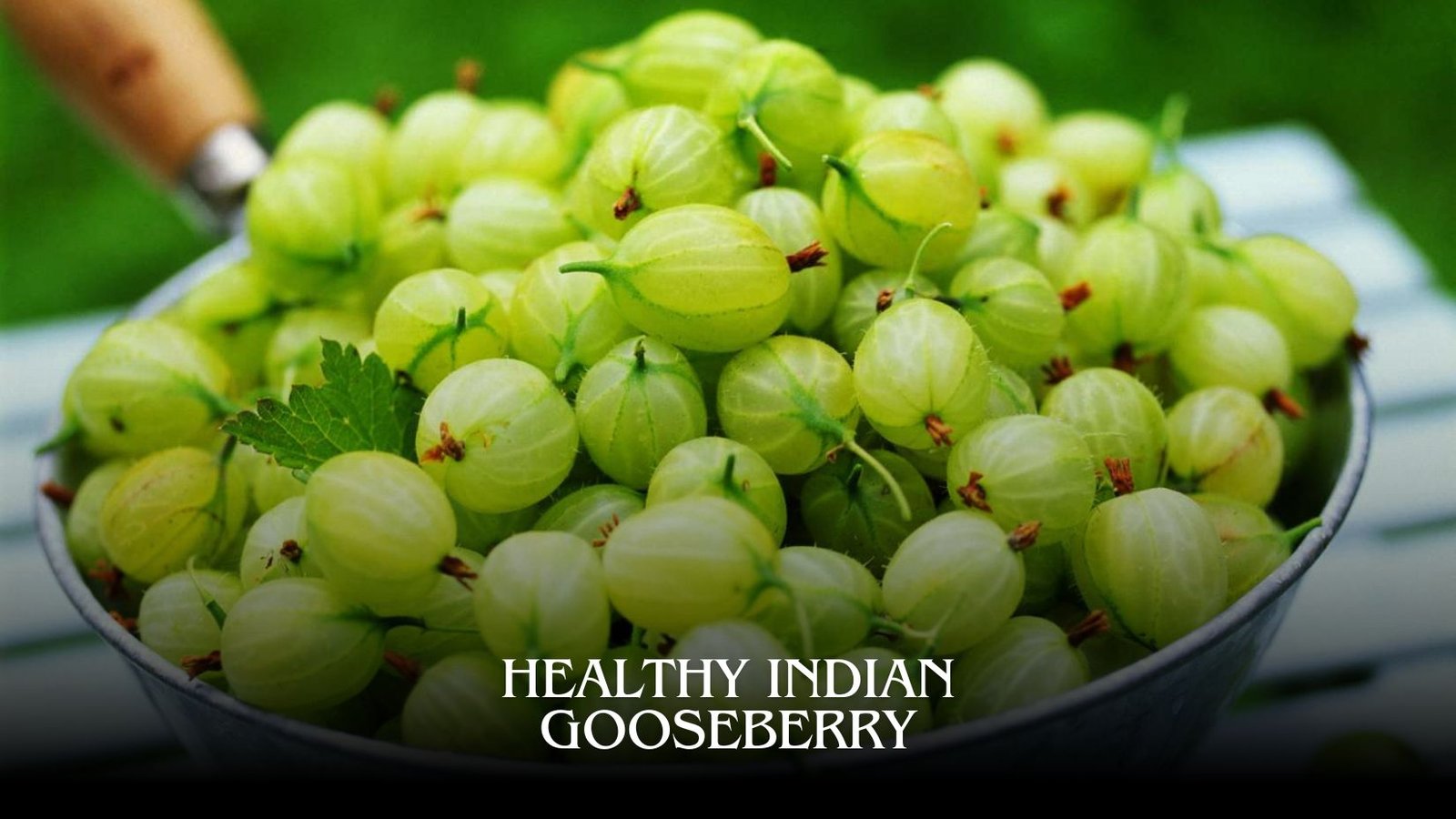 Healthy Indian Gooseberry : 5 Benefits Of It